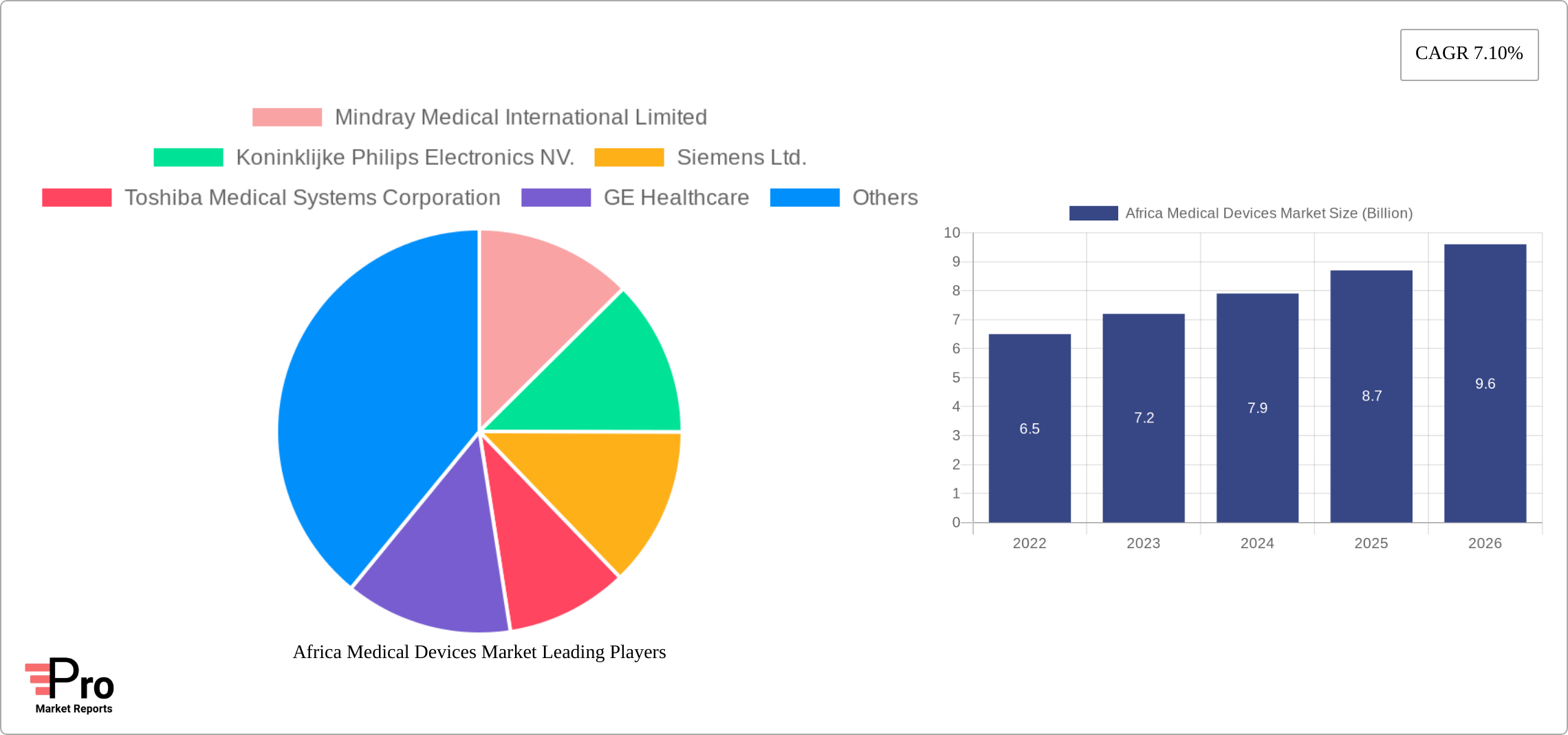 Africa Medical Devices Market Strategic Insights: Analysis 2026 and ...
